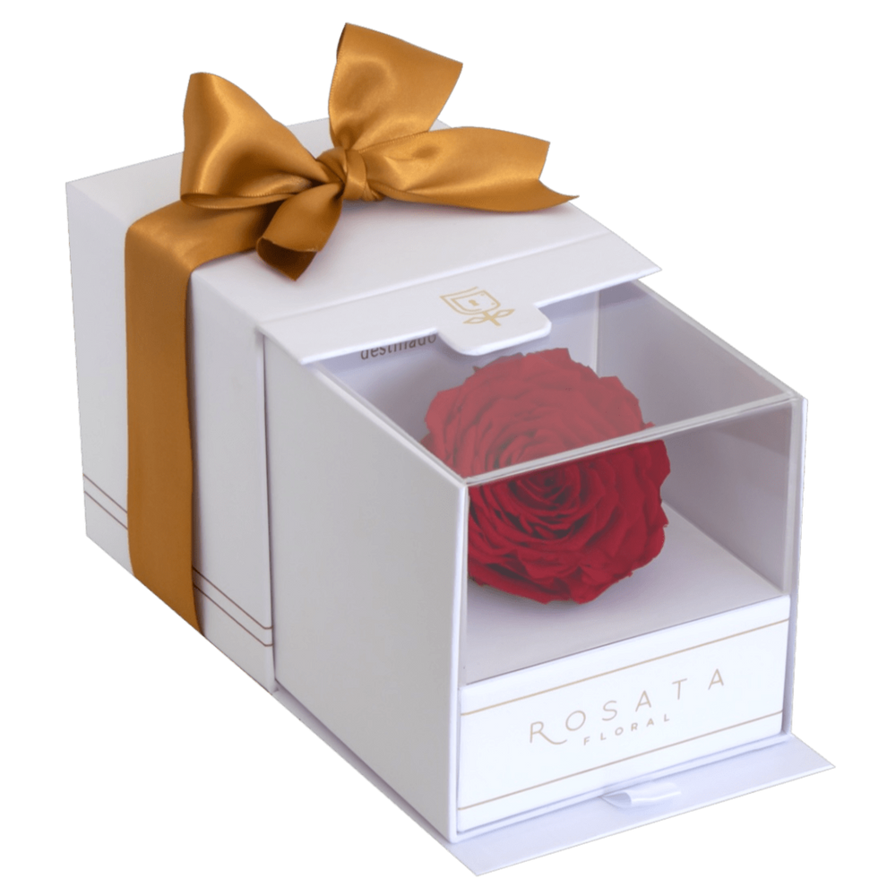 Rosas Eternas – Rosata Floral