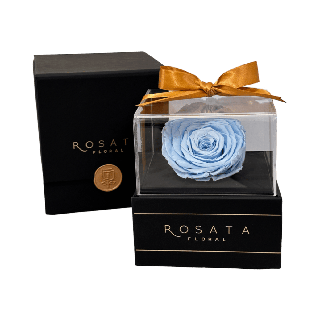 Elegance Azul - Rosa preservada - Rosata Floral