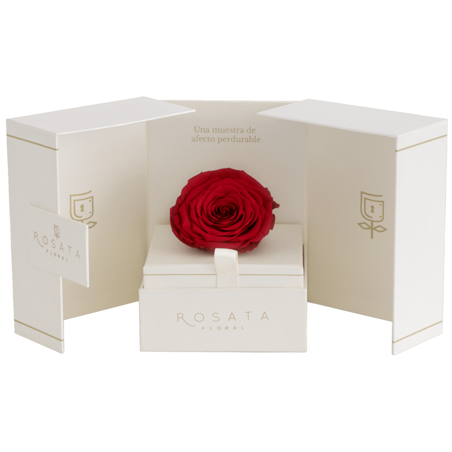 Rosas Eternas – Rosata Floral