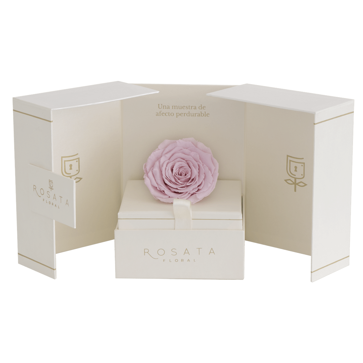Arreglo de rosa preservada Eternal de Rosata Floral