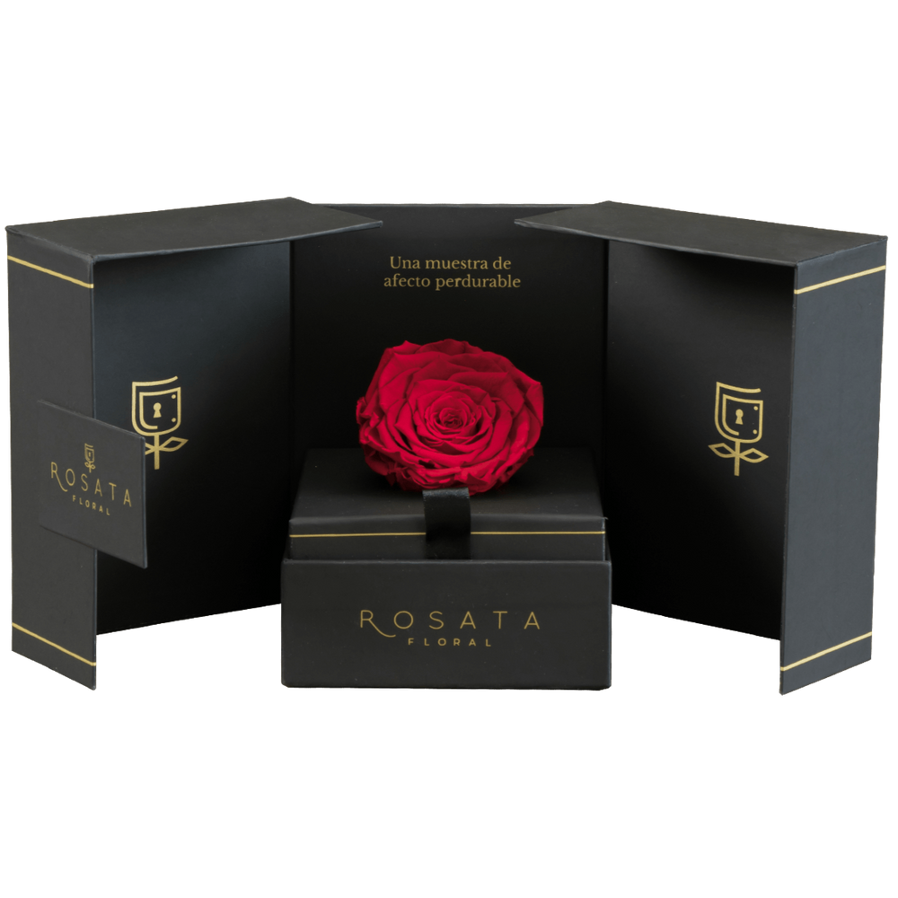 Rosas Eternas Rosata – Arreglos preservados con envío a todo México ...