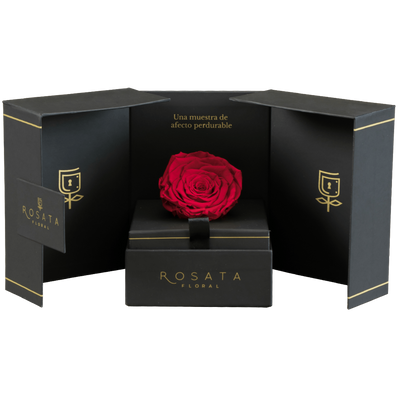 Rosas Eternas Rosata – Arreglos preservados con envío a todo México ...