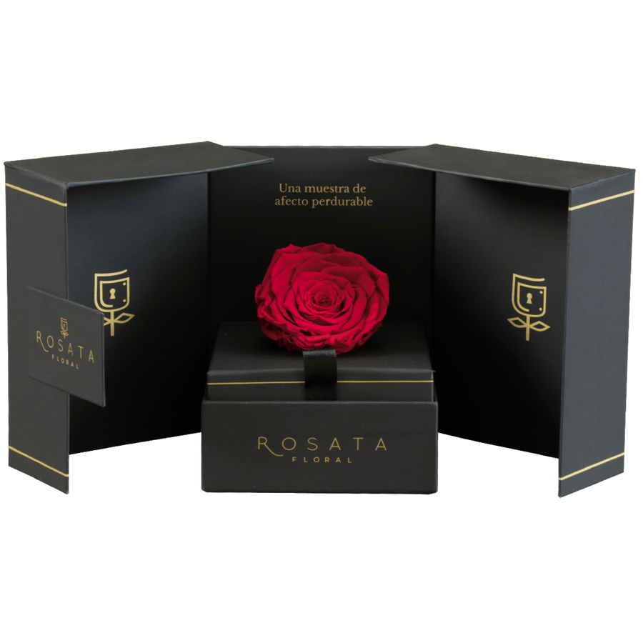 Rosas Eternas Rosata – Arreglos preservados con envío a todo México ...