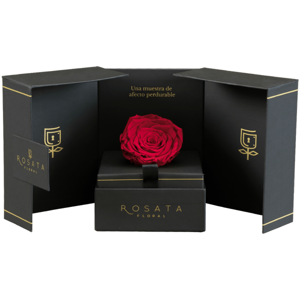 Rosas Eternas Rosata – Arreglos preservados con envío a todo México ...
