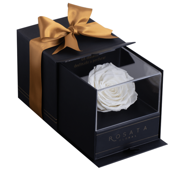 Rosata Floral - Rosas Eternas – Página 3